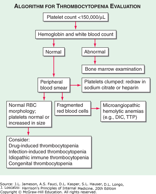 Harrison's algorithm for thrombocytopenia | AccessMedicine Network