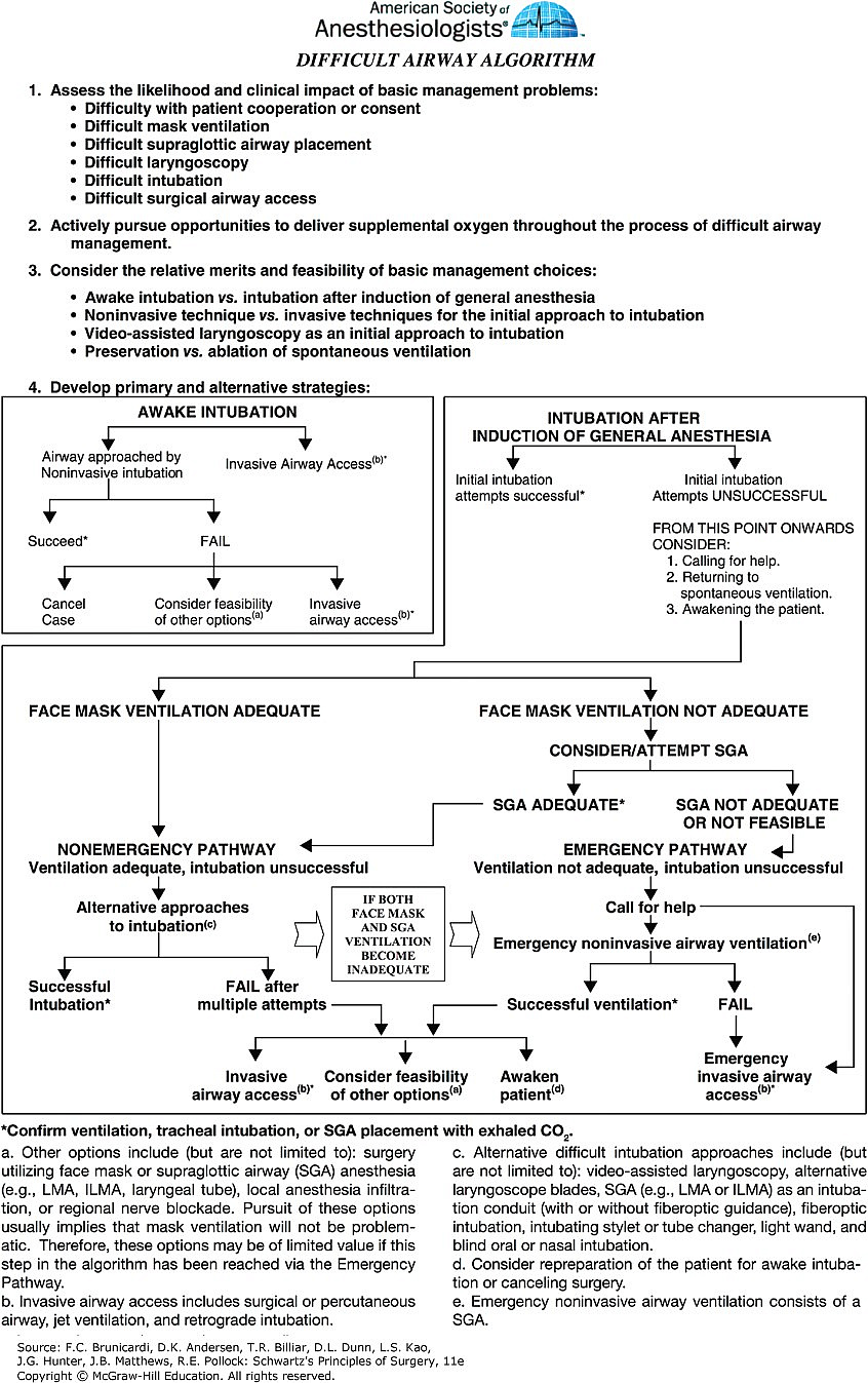Anesthetic Airway Management | AccessMedicine Network